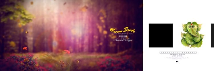 Shadi Album Design PSD 12X36 Free Download | PSD Vol 140 - WeddingAlbumPsd